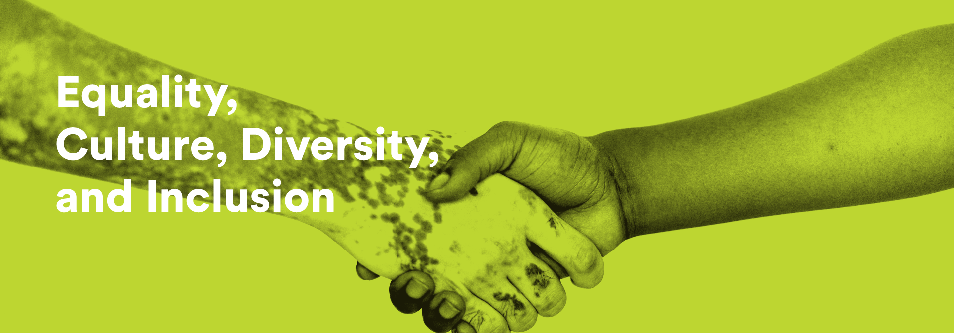 Equality, Culture, Diversity, and Inclusion | MagIC