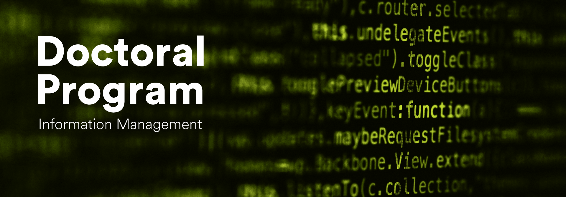 Doctoral Program in Information Management | MagIC